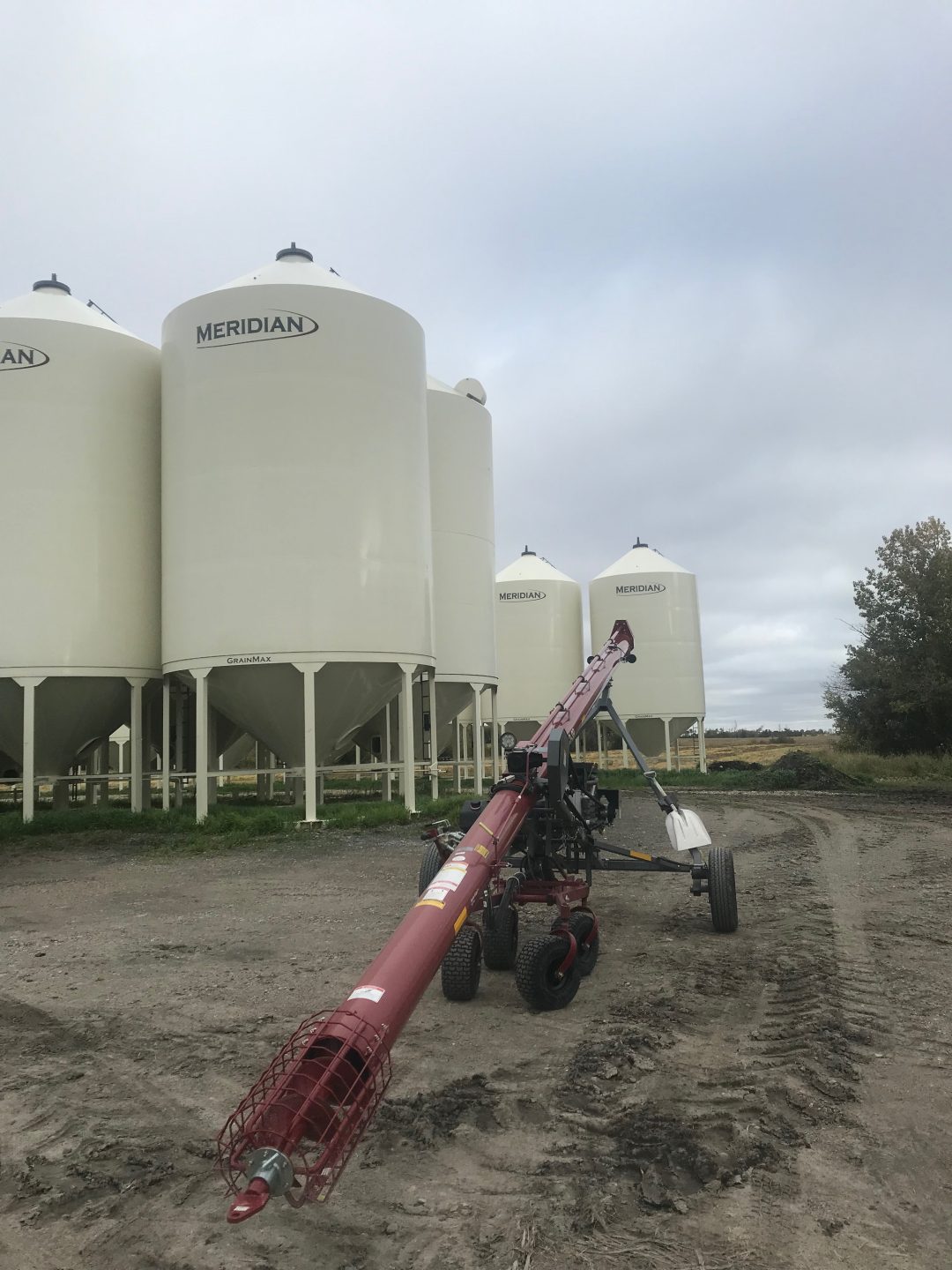 Meridian Augers Archives - Knight Seeds