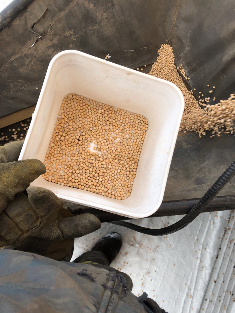 Seed Cleaning and Mobile Color Sorter - Knight Seeds